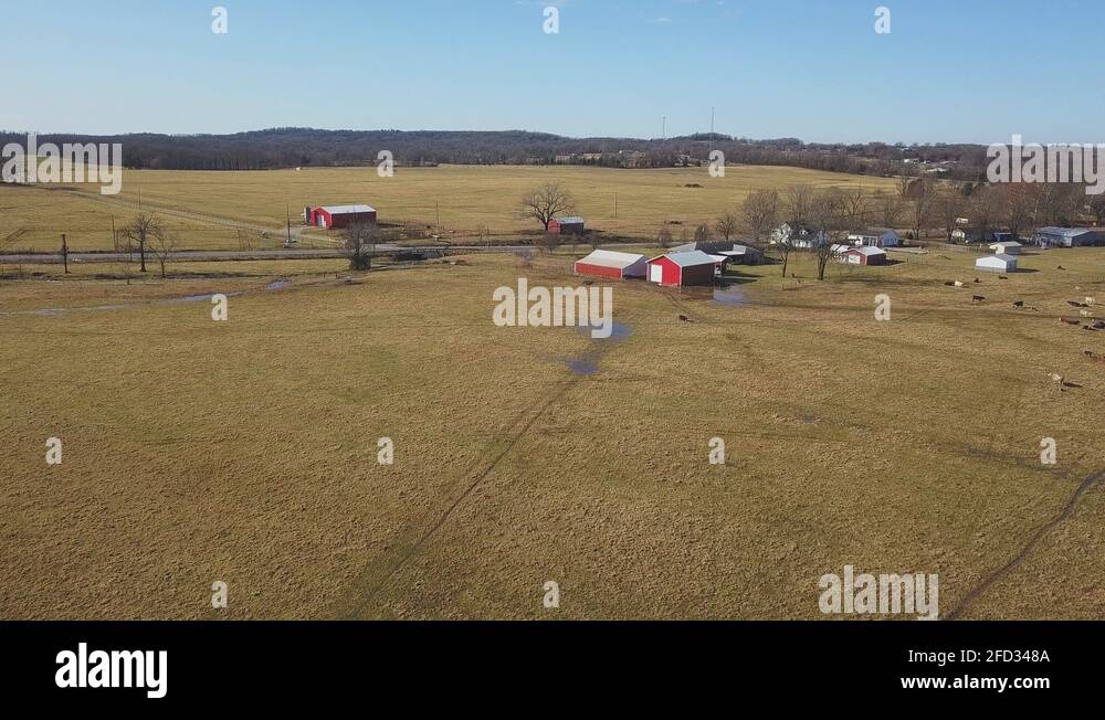 Farm cows pig chickens Stock Videos & Footage - HD and 4K Video Clips ...