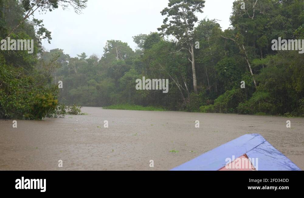 Canoe, wooden boat sailing over amazon river in heavy rain in jungle ...