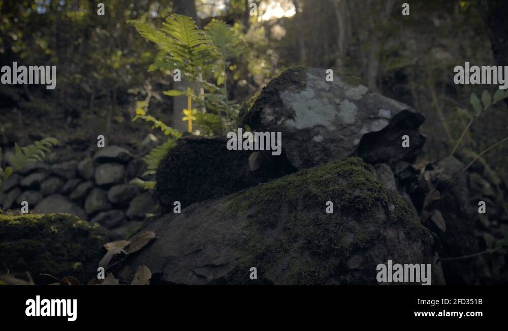 Bottom camera Stock Videos & Footage - HD and 4K Video Clips - Alamy