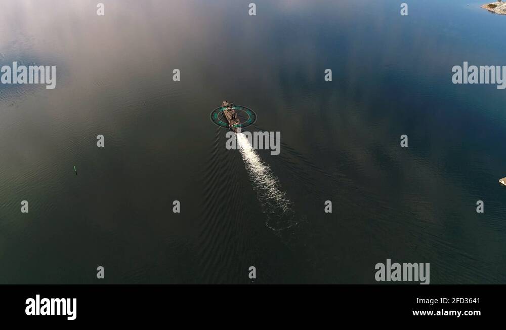 3d computer graphic Stock Videos & Footage - HD and 4K Video Clips - Alamy