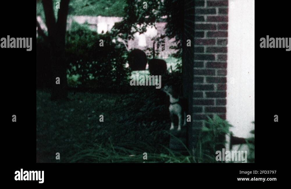 Bottom of tree Stock Videos & Footage - HD and 4K Video Clips - Alamy