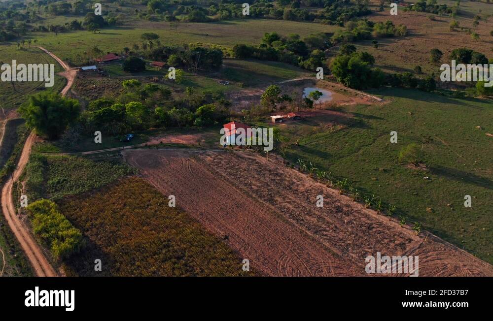 Brazil plantation house Stock Videos & Footage - HD and 4K Video Clips ...