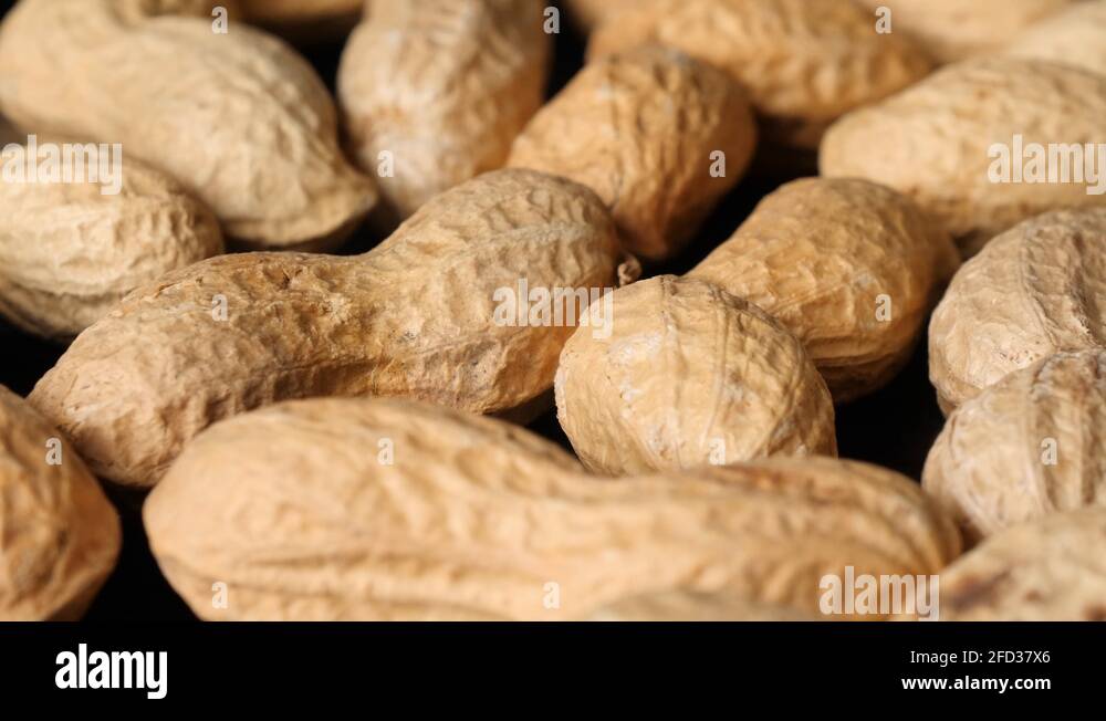 Peanuts in shell scattered Stock Videos & Footage - HD and 4K Video ...