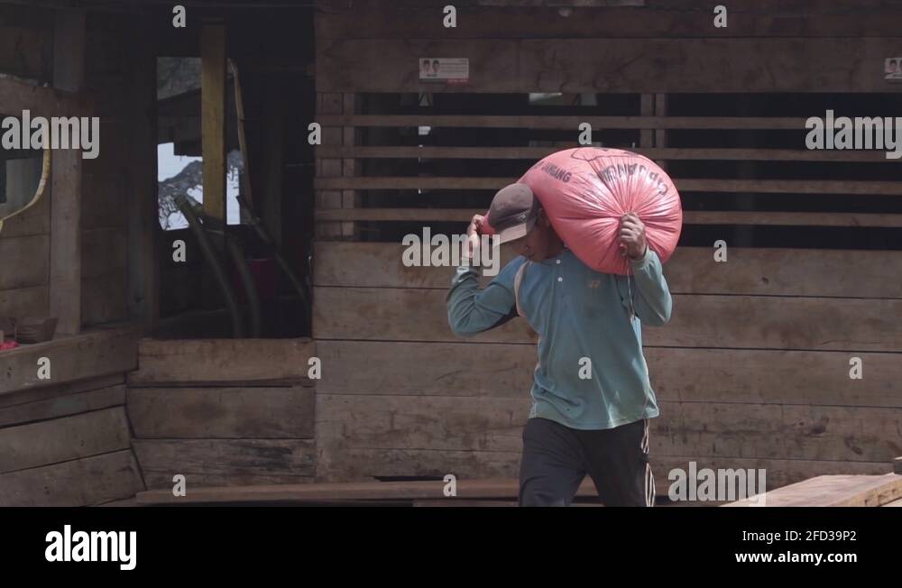 Man carrying big heavy Stock Videos & Footage - HD and 4K Video Clips ...