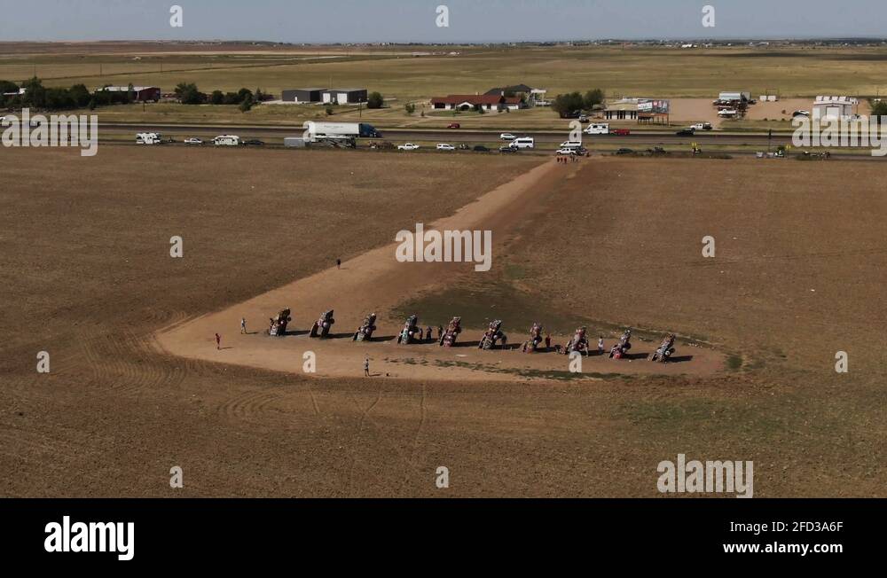 Amarillo or tendral amarillo Stock Videos & Footage - HD and 4K Video ...