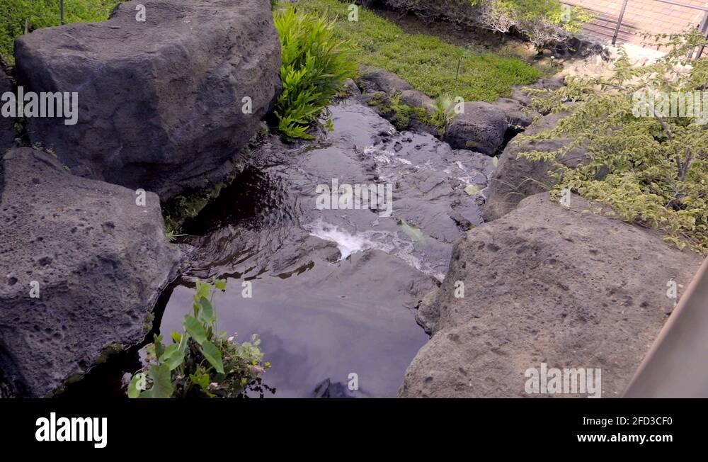 Trickling stream and waterfall in Wailea Beach Villas, Hawaii. Overview ...