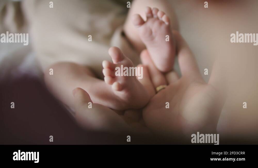 Tiny feet mothers hand Stock Videos & Footage - HD and 4K Video Clips ...