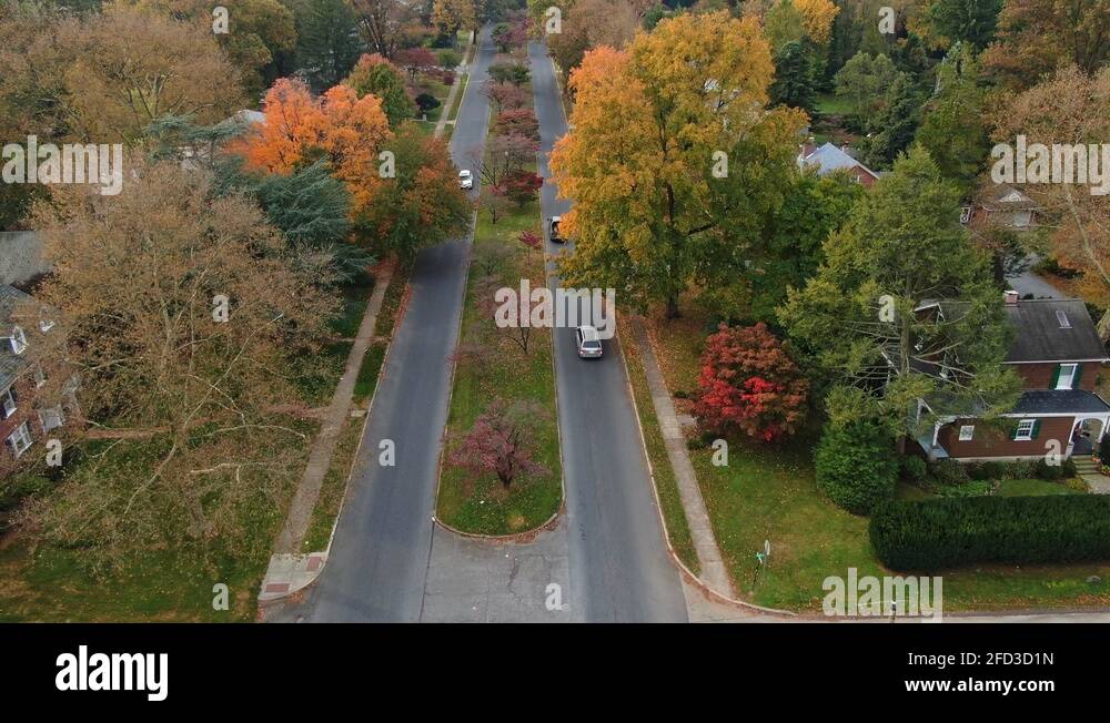 Cars driving on two-lane street in a suburban residential area, tree ...