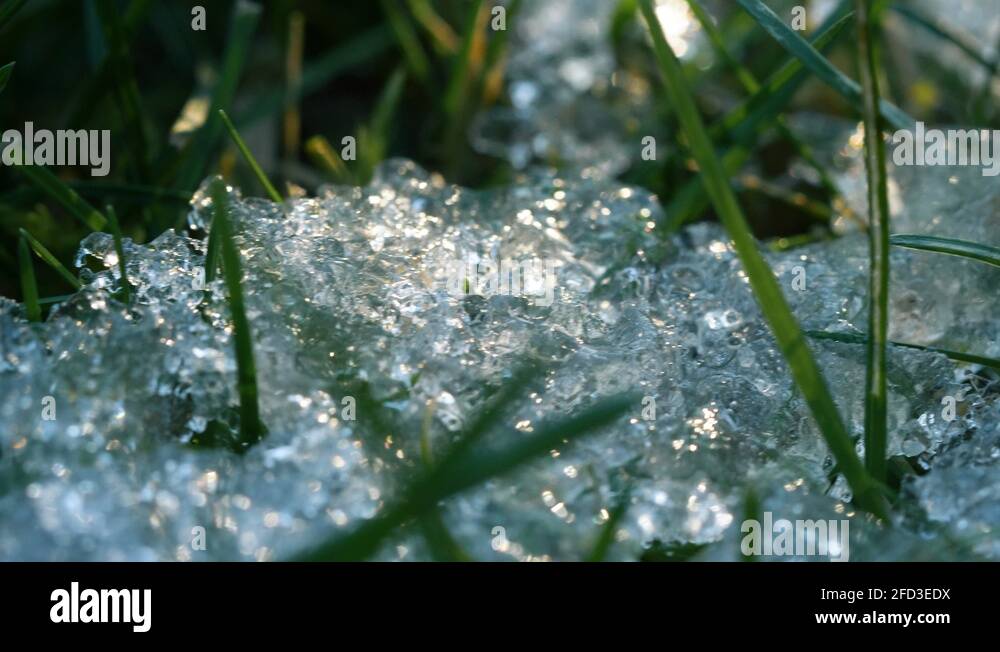 Snow ice grass Stock Videos & Footage - HD and 4K Video Clips - Alamy