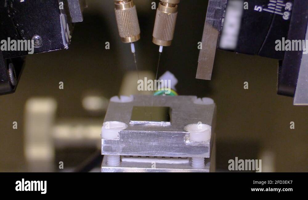Labatory Stock Videos & Footage - HD and 4K Video Clips - Alamy