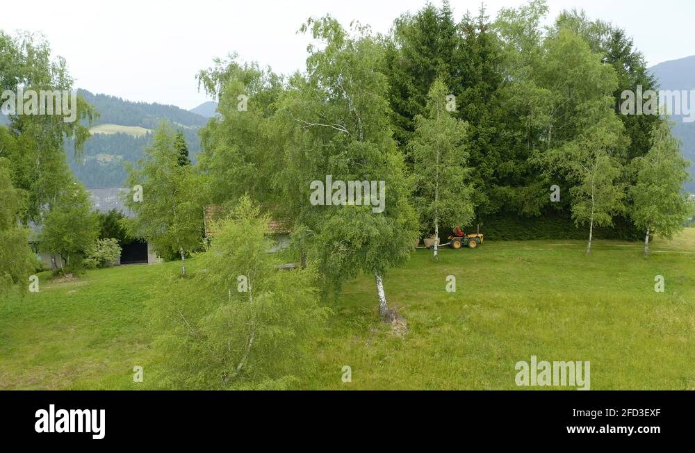 Fantasy mountain dwarf Stock Videos & Footage - HD and 4K Video Clips ...