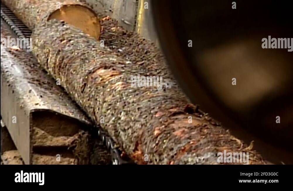 Lumber machine Stock Videos & Footage - HD and 4K Video Clips - Alamy
