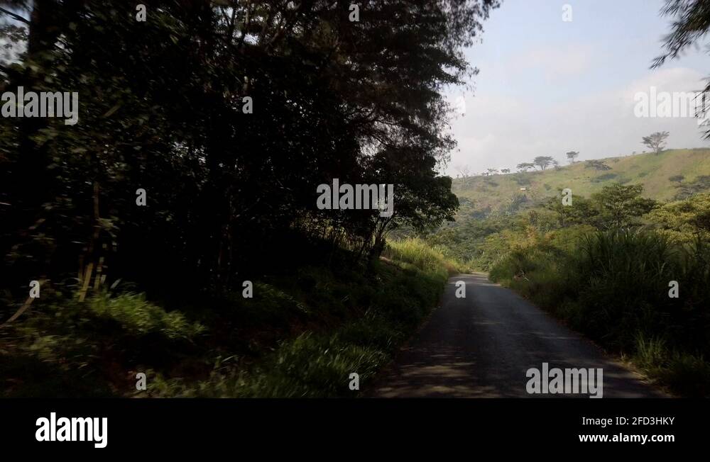 Narrow road through tropical Stock Videos & Footage - HD and 4K Video ...