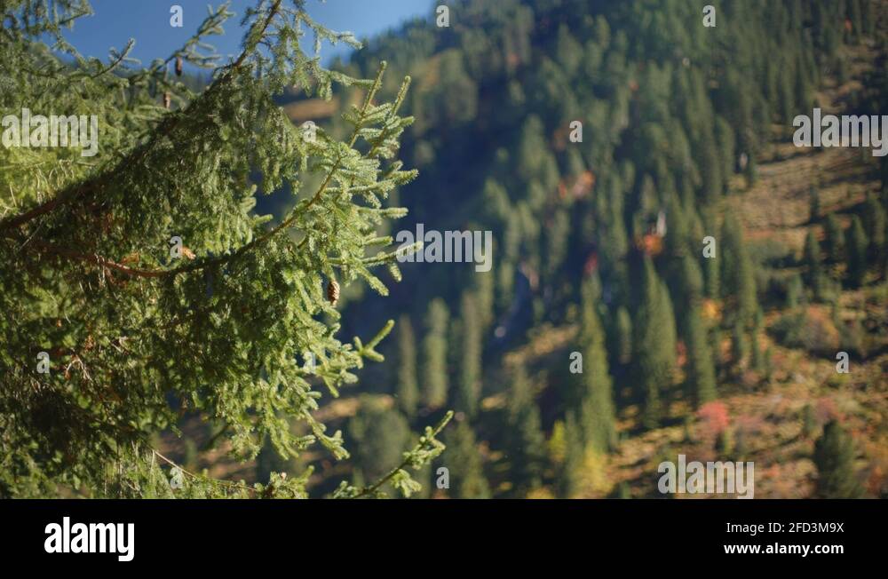 Side slope Stock Videos & Footage - HD and 4K Video Clips - Alamy