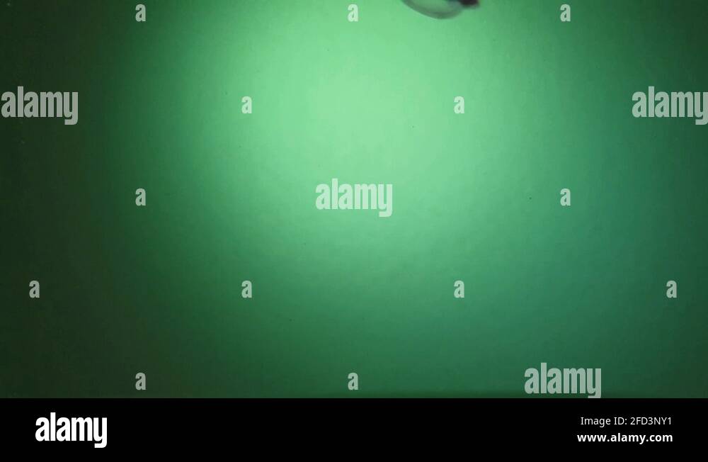 Eerie color Stock Videos & Footage - HD and 4K Video Clips - Alamy