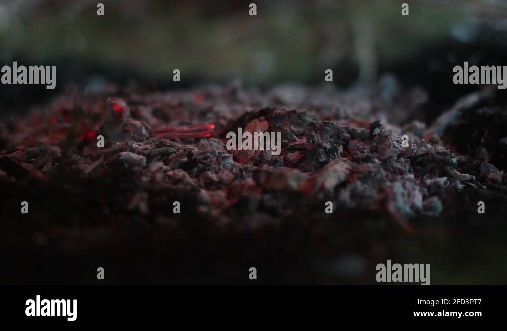 Traditional distillation of rakia (oven ashes) 1 Stock Video Footage ...