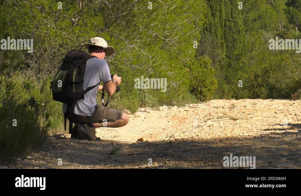 Man kneeling with camera Stock Videos & Footage - HD and 4K Video Clips ...