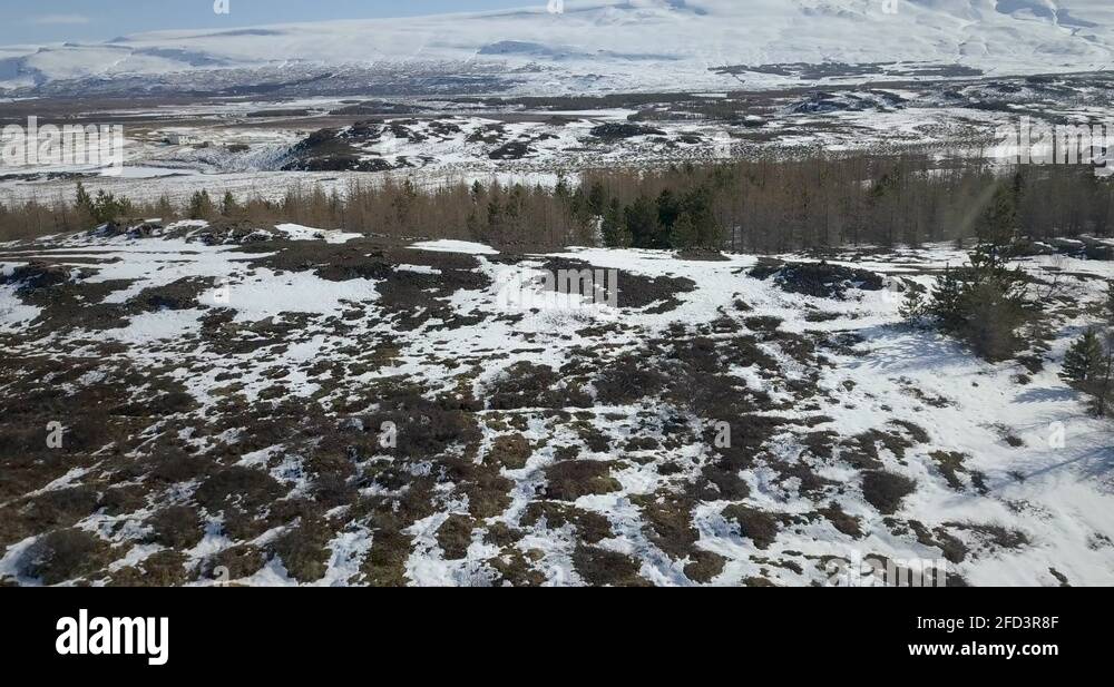 Icelandic trees Stock Videos & Footage - HD and 4K Video Clips - Alamy