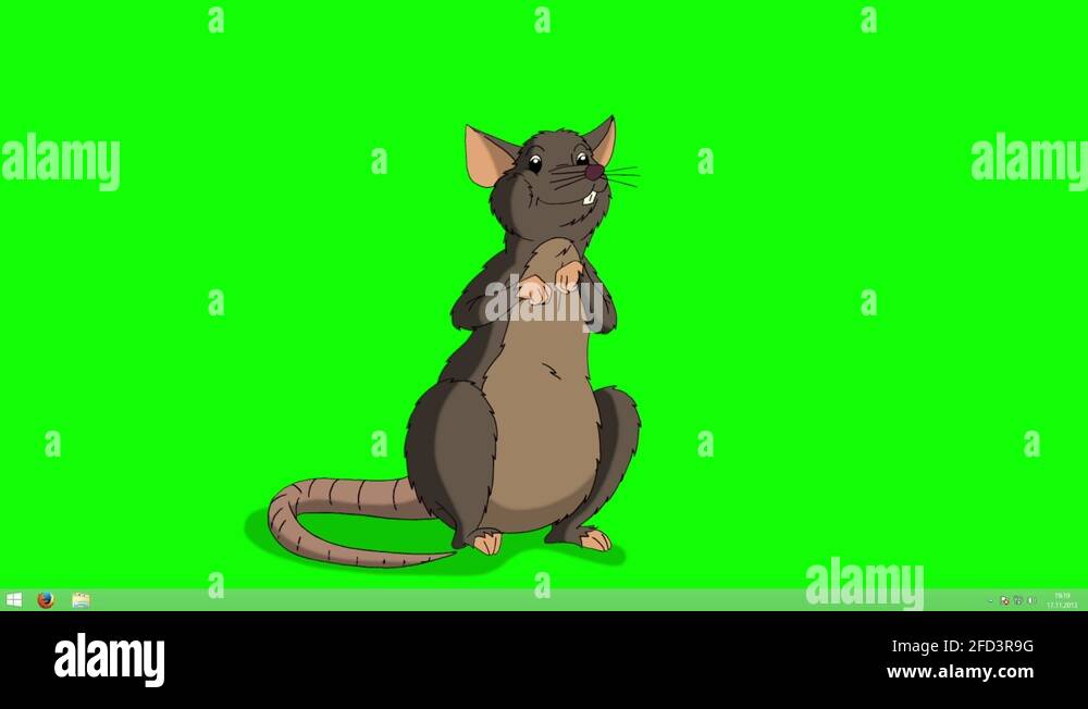 Brown rat sitting and talking animation Chroma Key Stock Video Footage ...