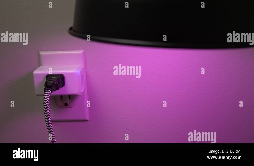Light switch adapter Stock Videos & Footage - HD and 4K Video Clips - Alamy