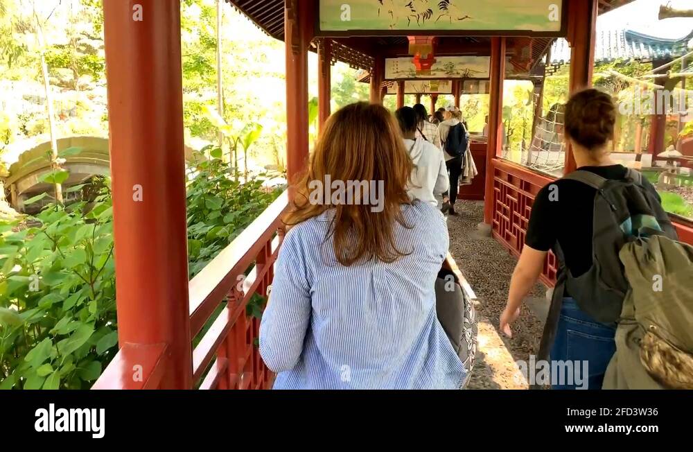 Zoo pathway Stock Videos & Footage - HD and 4K Video Clips - Alamy