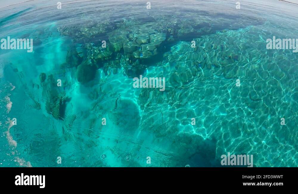 Shelf formation Stock Videos & Footage - HD and 4K Video Clips - Alamy