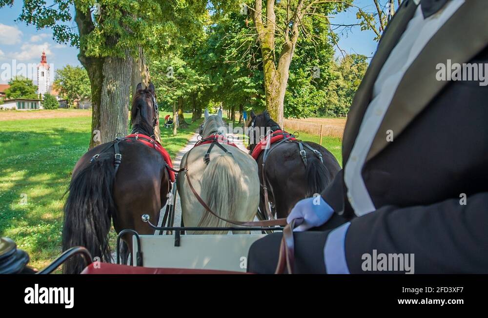 Part horse part human Stock Videos & Footage - HD and 4K Video Clips ...