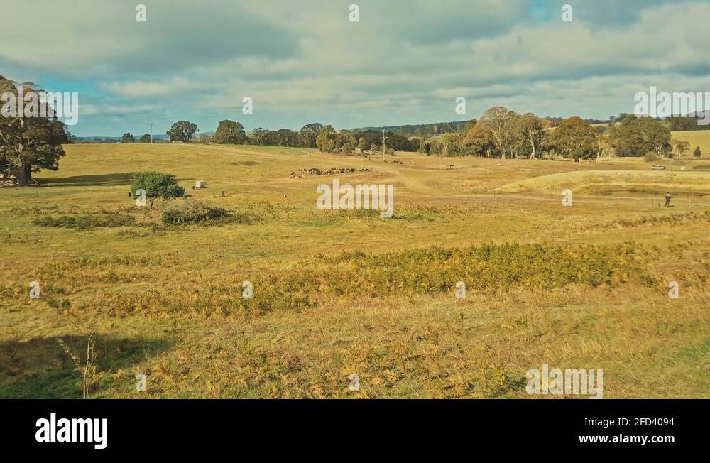 Multiple species of animals Stock Videos & Footage - HD and 4K Video ...