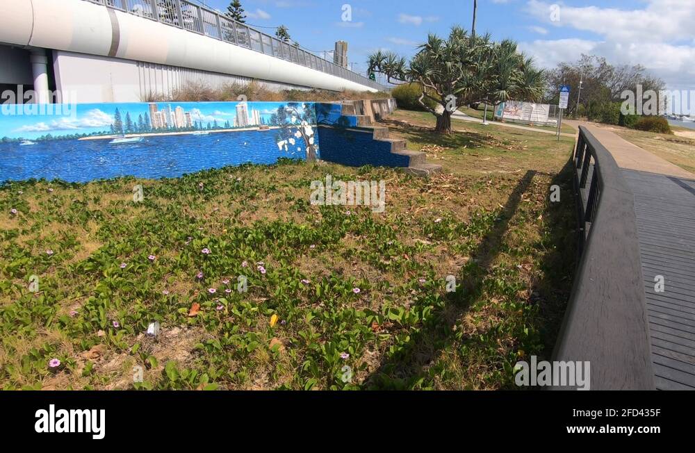 Gold coast street australia Stock Videos & Footage - HD and 4K Video ...