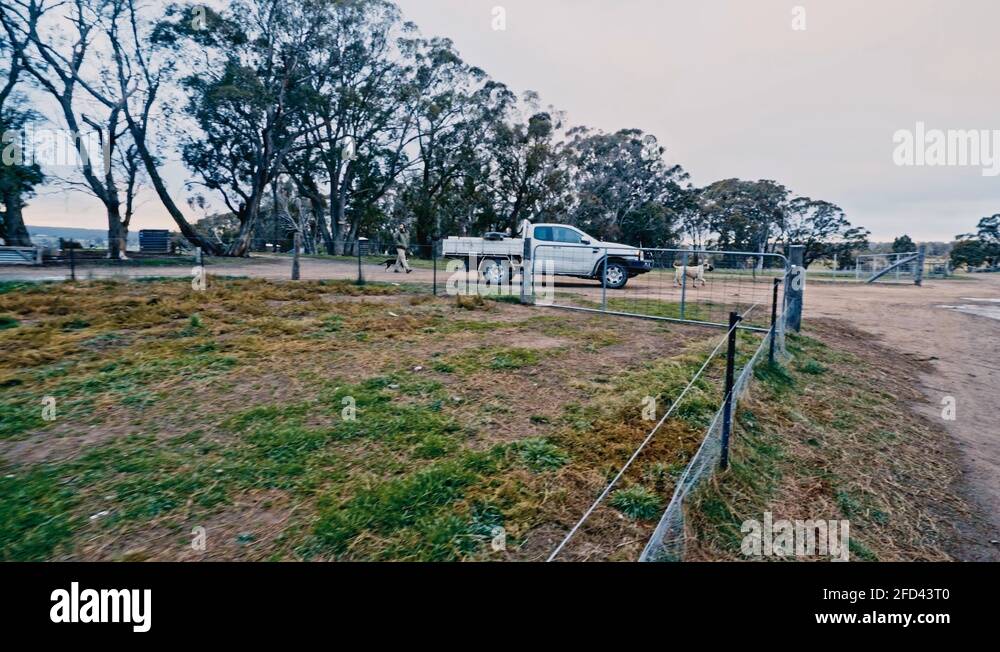 Farm ute Stock Videos & Footage - HD and 4K Video Clips - Alamy