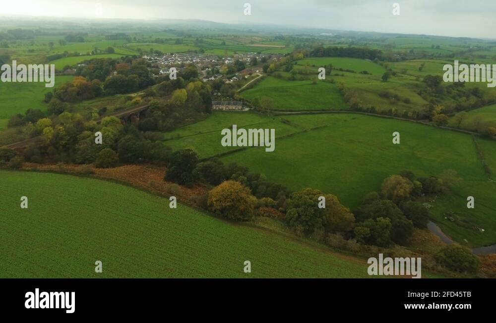 British tree's autumn Stock Videos & Footage - HD and 4K Video Clips ...