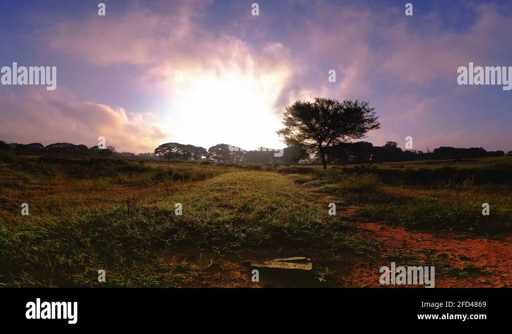 Ground shot wide angle Stock Videos & Footage - HD and 4K Video Clips ...