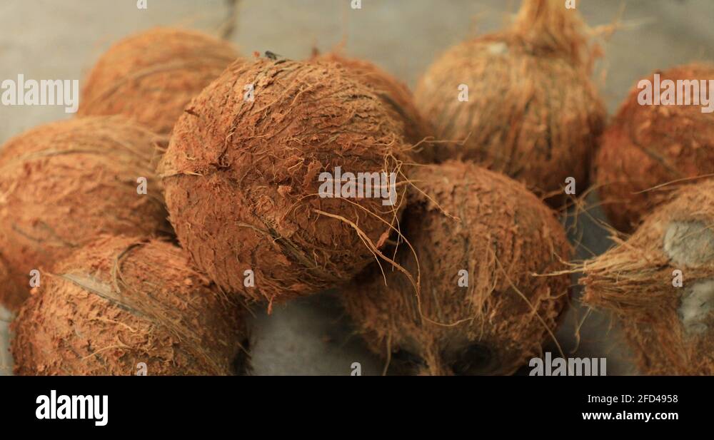 Brown coconuts Stock Videos & Footage - HD and 4K Video Clips - Alamy