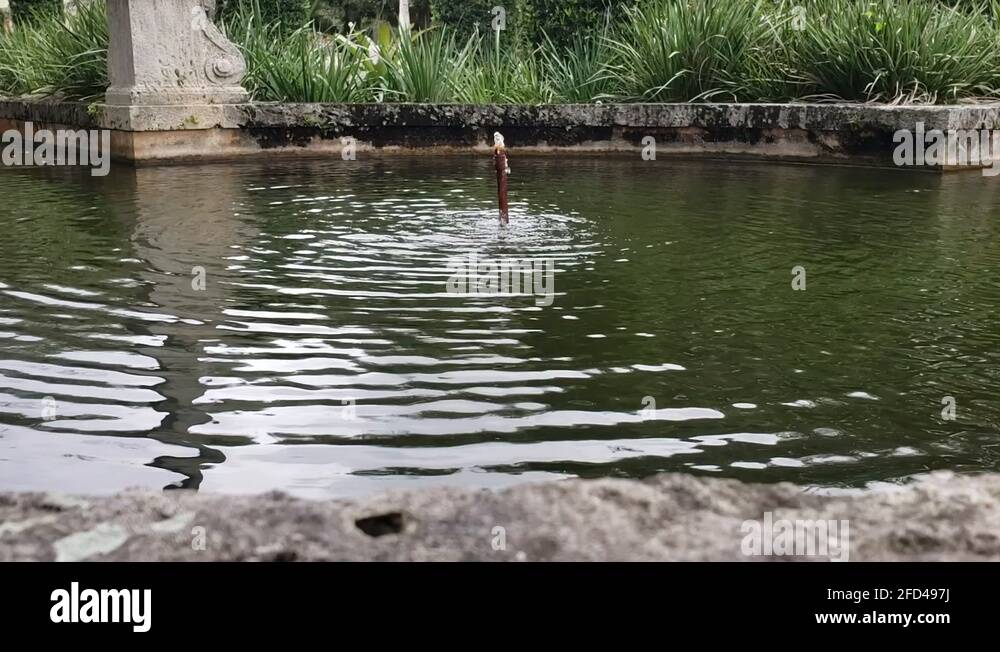 Water spilling Stock Videos & Footage - HD and 4K Video Clips - Alamy