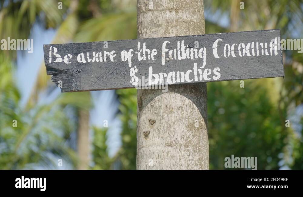 Beware falling coconuts sign Stock Videos & Footage - HD and 4K Video ...