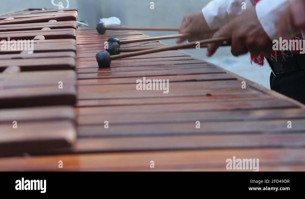 Marimba Stock Videos & Footage - HD and 4K Video Clips - Alamy