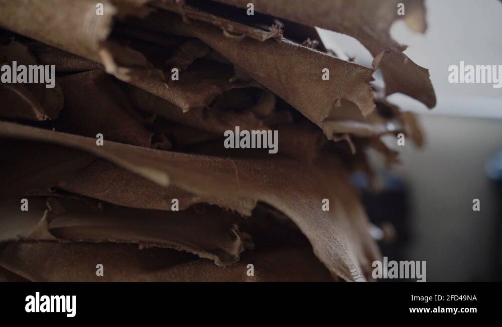 Rawhide material Stock Videos & Footage - HD and 4K Video Clips - Alamy