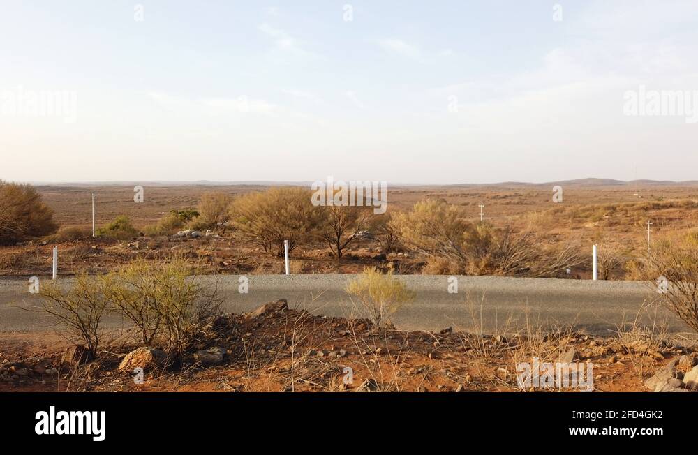 A bush setting Stock Videos & Footage - HD and 4K Video Clips - Alamy