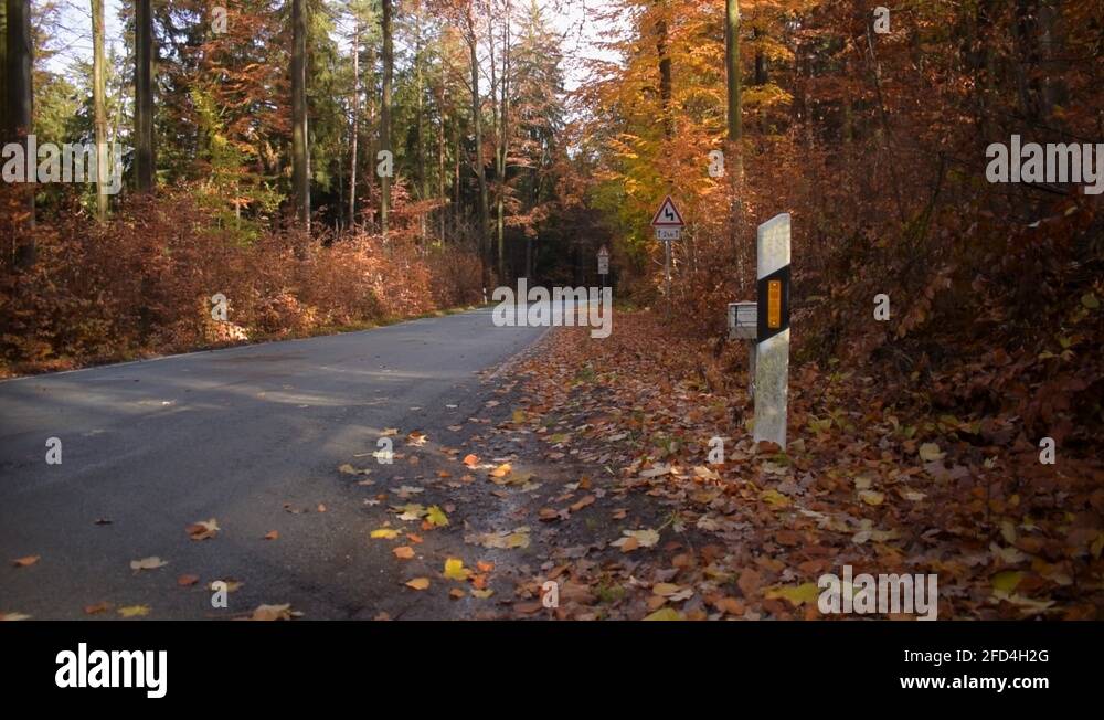 Forest street sign Stock Videos & Footage - HD and 4K Video Clips - Alamy