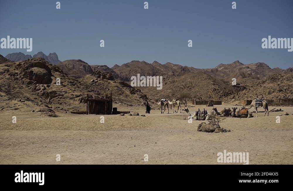 Desert landscape egypt Stock Videos & Footage - HD and 4K Video Clips ...