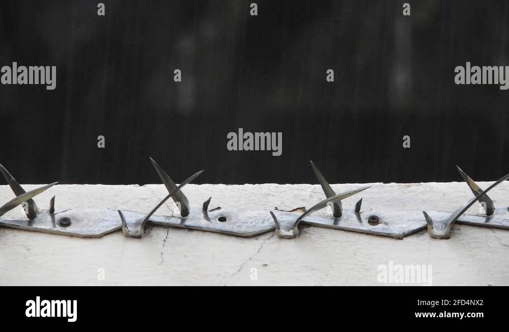 Spiked wall Stock Videos & Footage - HD and 4K Video Clips - Alamy