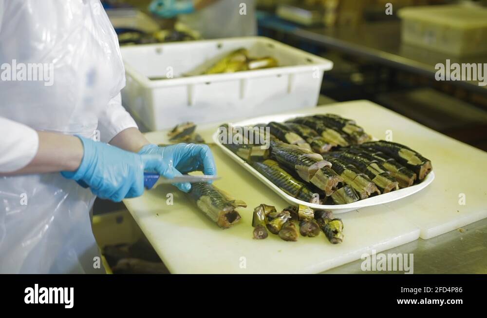 Female worker cutting smoked fish at fish factory. Fish processing ...