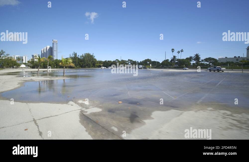 King Tide flooding Miami Beach Haulover Parking lot Stock Video Footage ...
