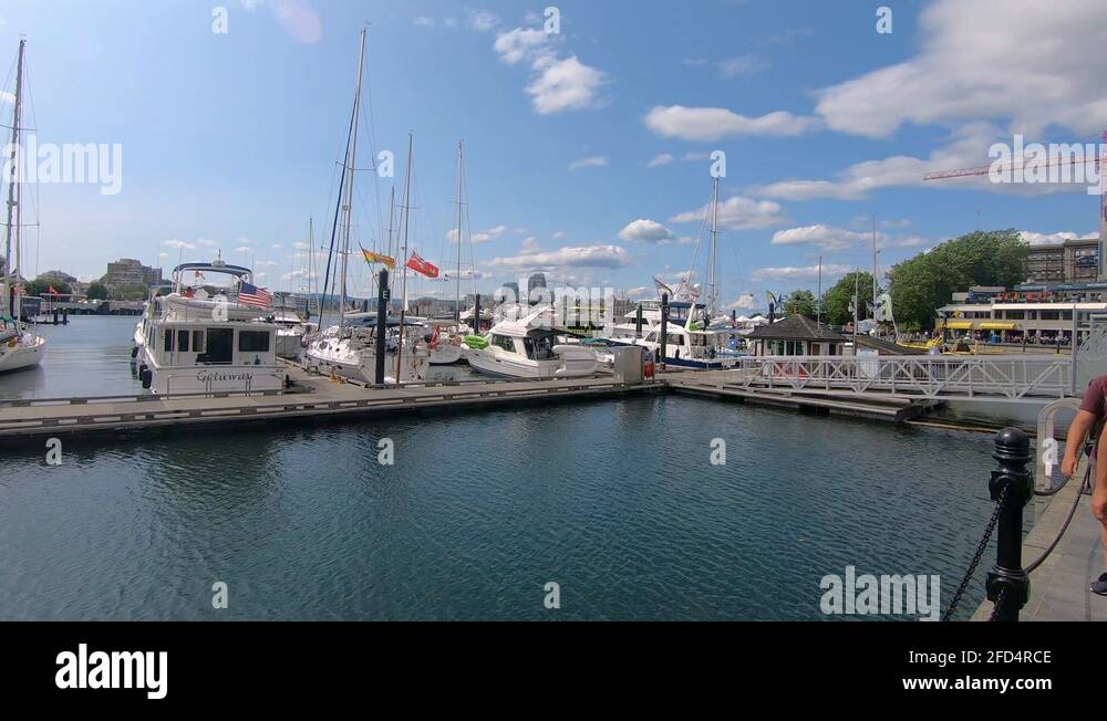 Victoria harbor marina Stock Videos & Footage - HD and 4K Video Clips ...