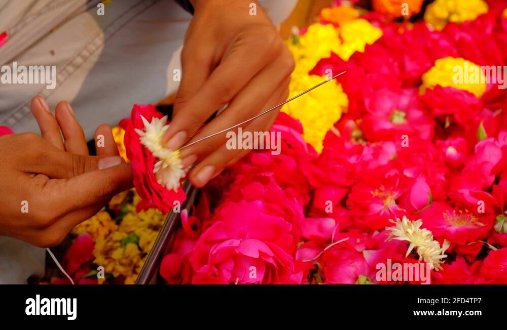 Flower vendor making hindu flower garland for temple decoration ...