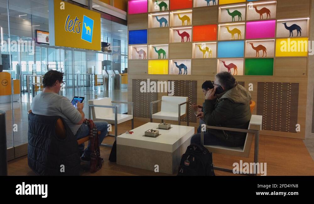 Camel gateway Stock Videos & Footage - HD and 4K Video Clips - Alamy