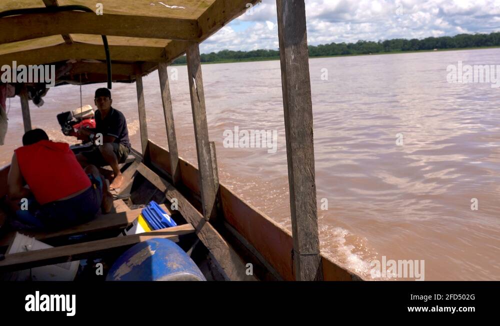 Amazon rainforest moist broadleaf forest Stock Videos & Footage - HD ...