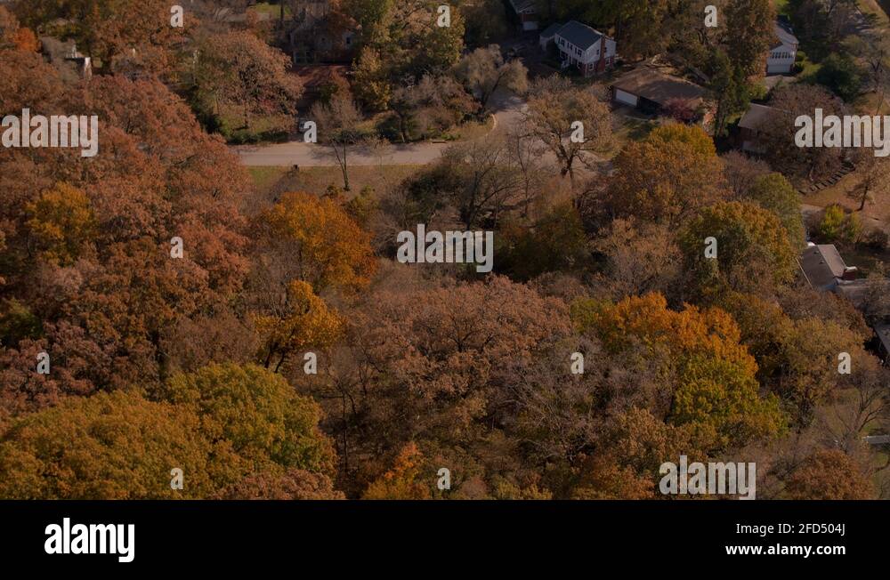 Suburban autumn trees Stock Videos & Footage - HD and 4K Video Clips ...