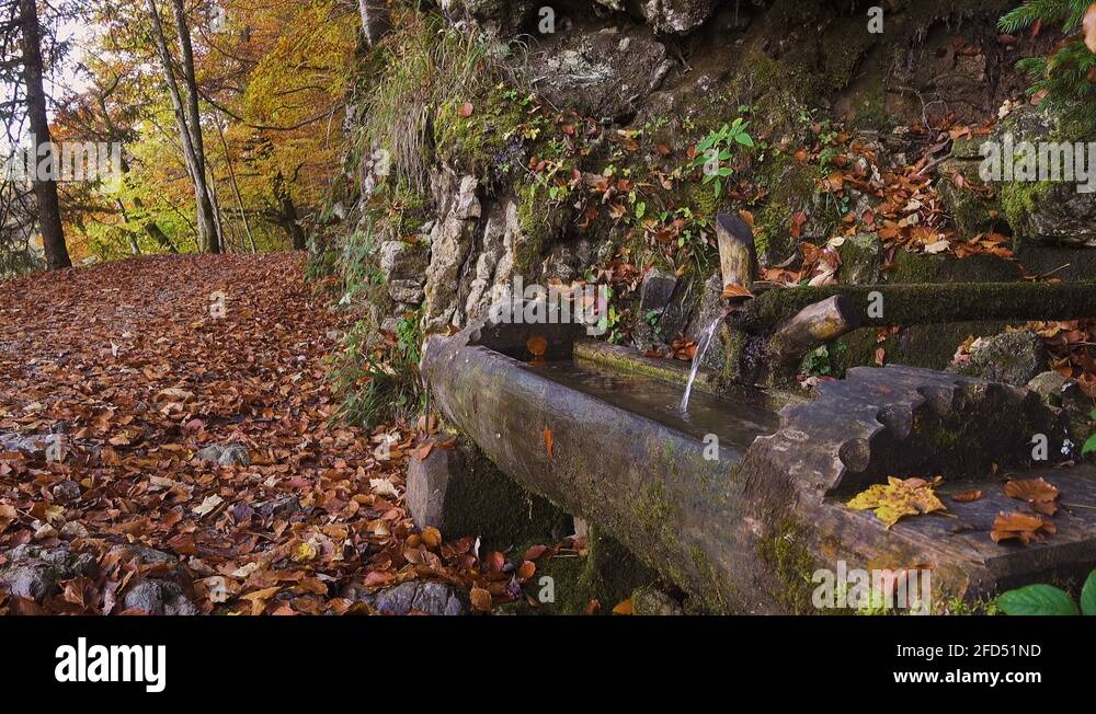 water flowing from the forest wooden water trough Stock Video Footage ...