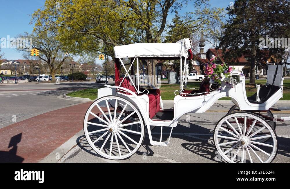 Horse drawn cinderella princess carriage Stock Videos & Footage - HD ...
